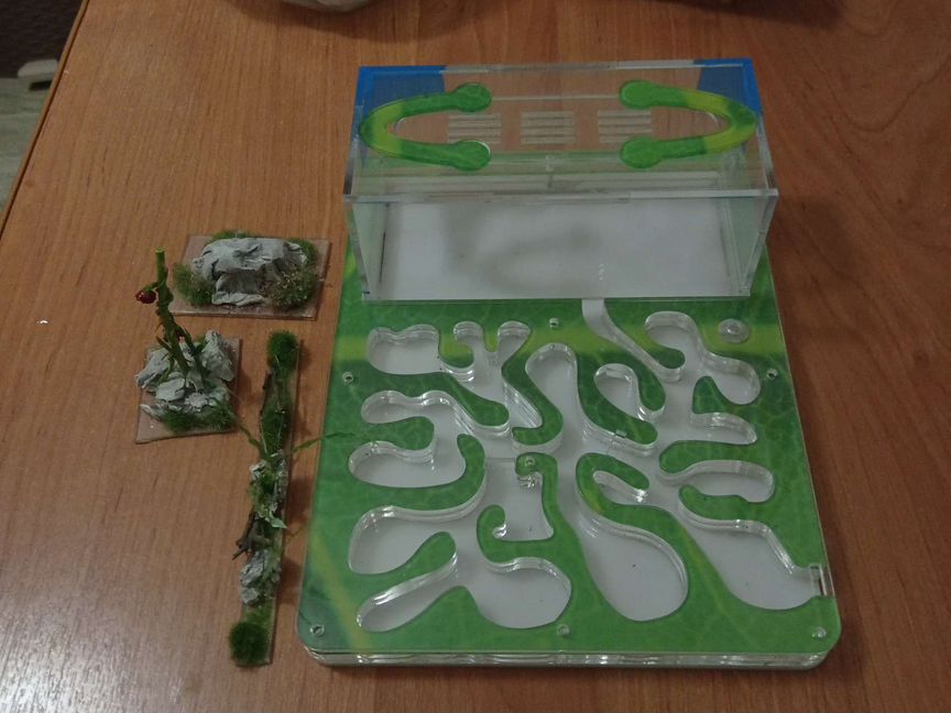 Формикарий (муравьиная ферма)