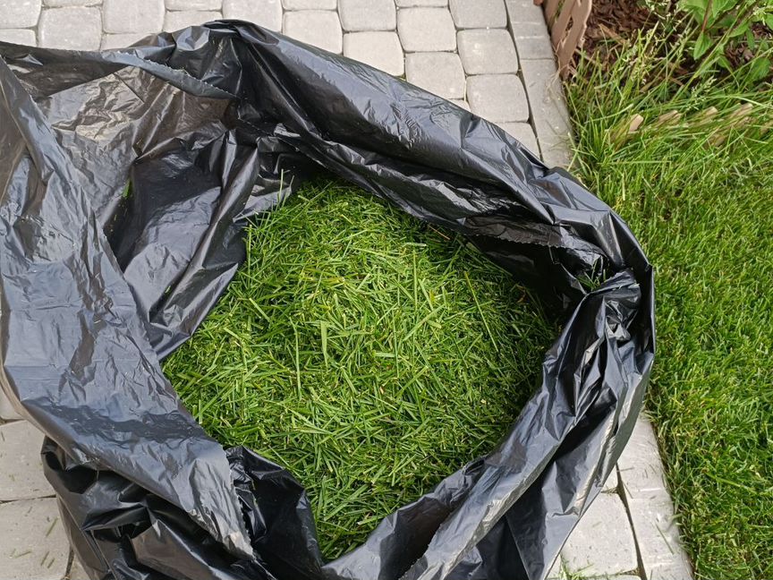 Сено солома