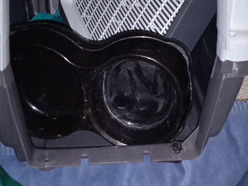 Кошачий набор чик