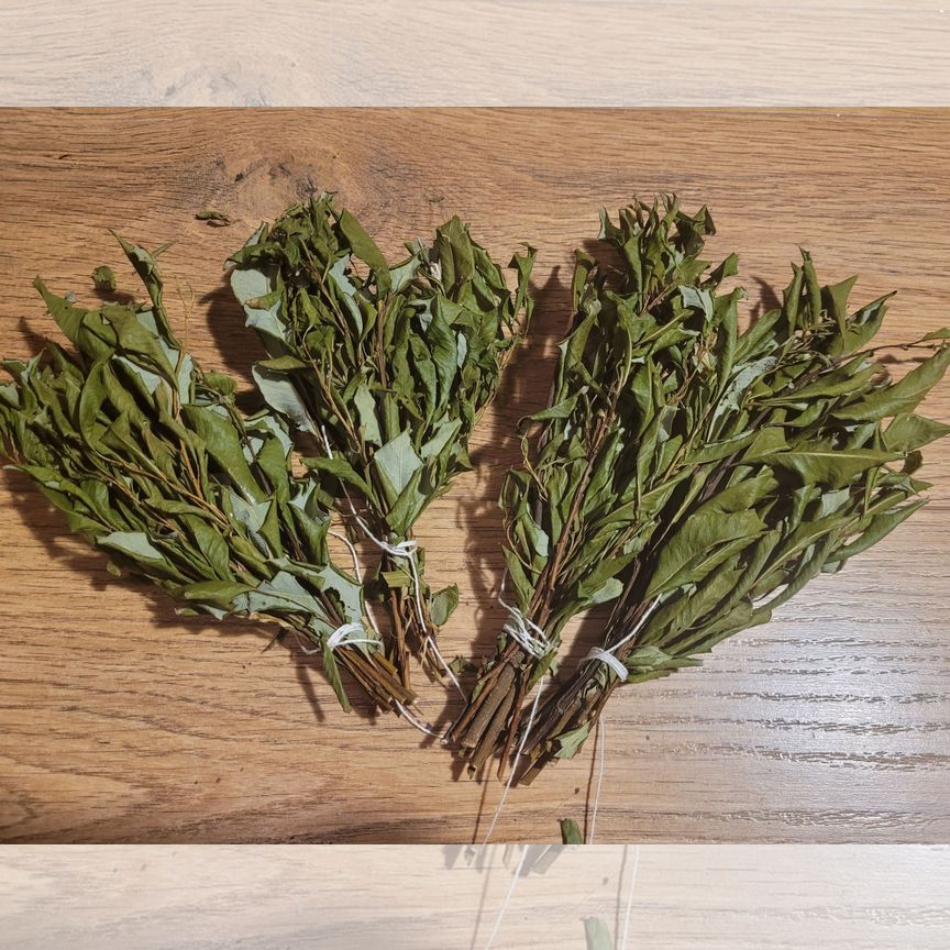 Ветки для грызунов