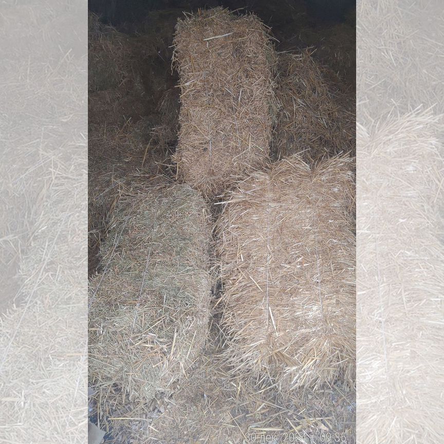 Сено солома в тюках