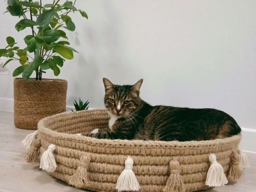 Лежанка для питомца