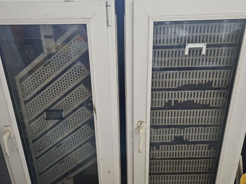 Инкубатор + выводной