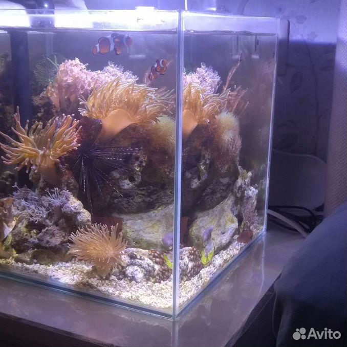 Морской аквариум 30л