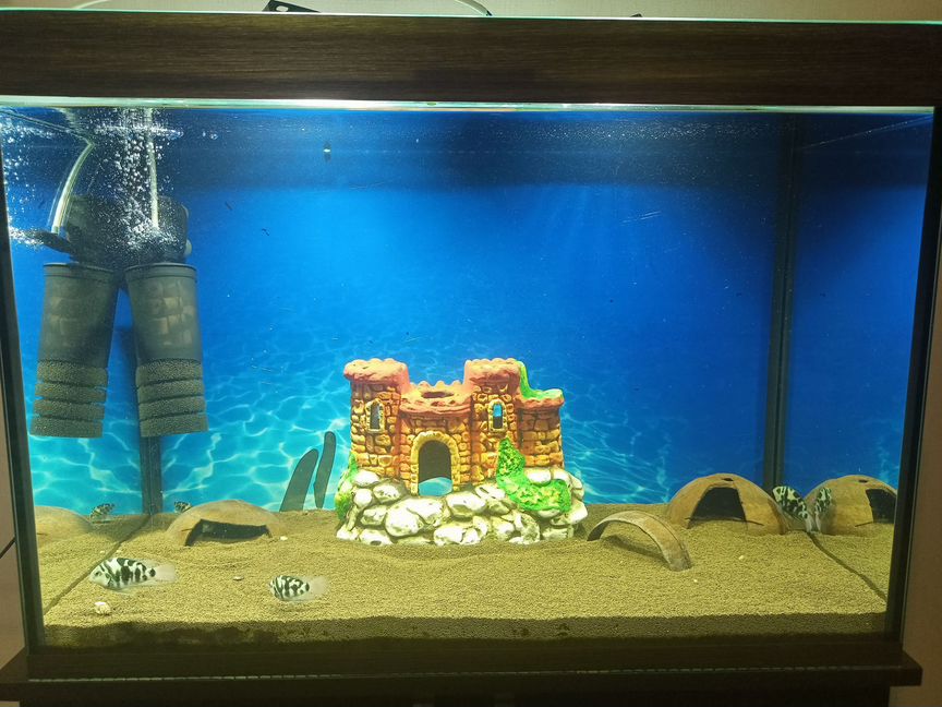 Аквариум с тумбой 120 литров