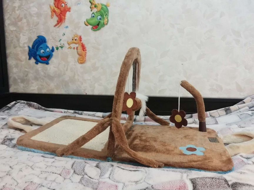 Fauna Internashional Caio Австралия