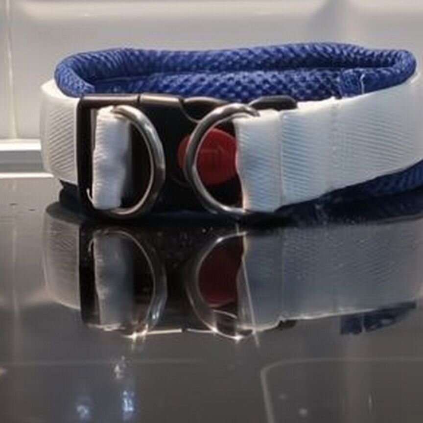 Амуниция для собак ручной работы