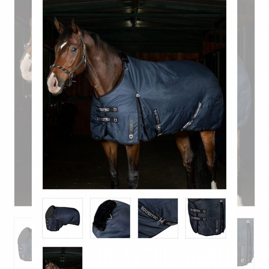 Попона прогулочная equestro