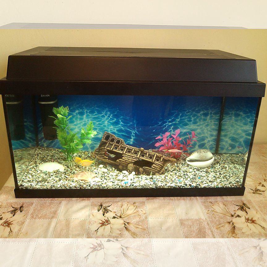 Немецкий аквариум "Juwel "60L.Рыбы фильтр декор 