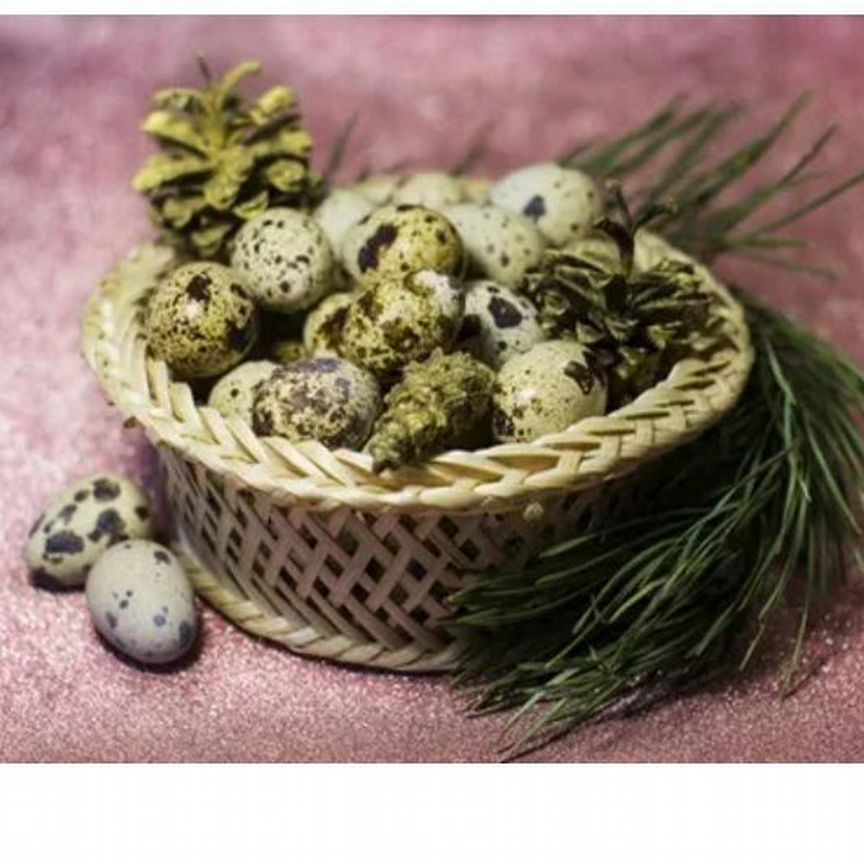 Дмитровские инкубационные яйца перепелов