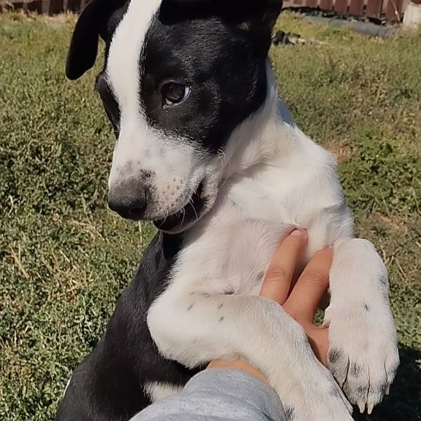 Времени нет, нужен дом