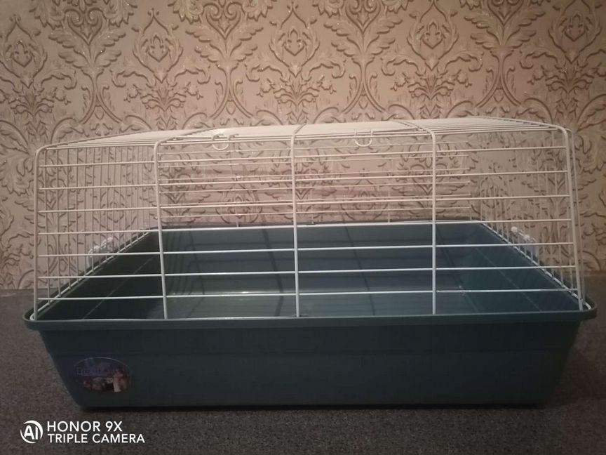 Клетка