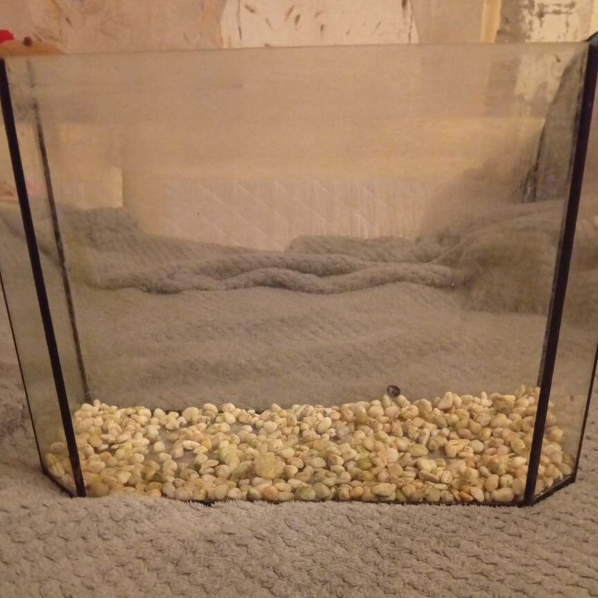 Аквариум б/у