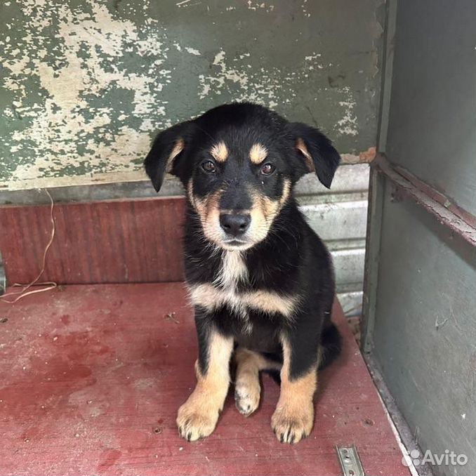 Я крутой парень