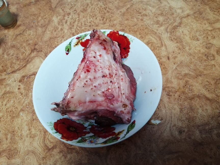 Корм для собак