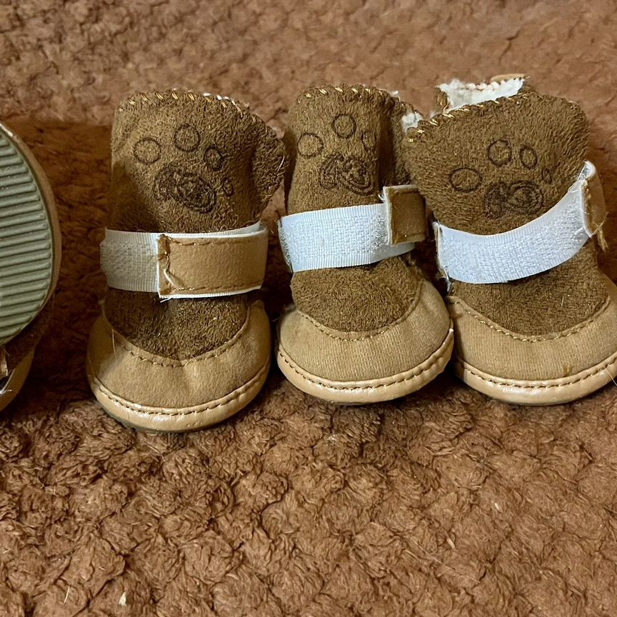 Обувь для собак