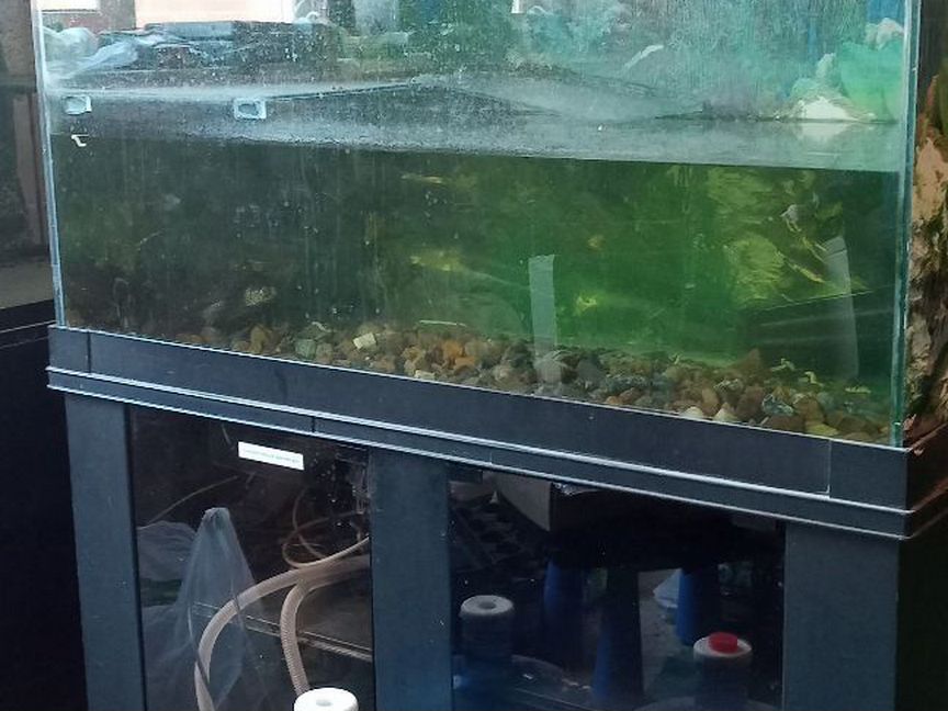 Аквариум с тумбой 300 литров