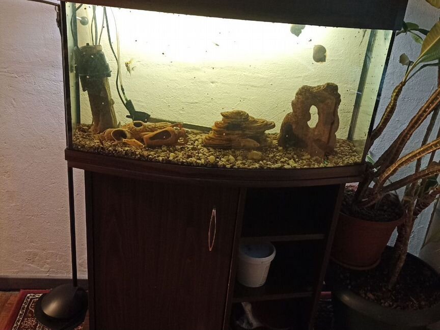 Аквариум 120 литров с тумбой