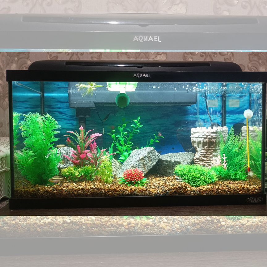Аквариум "Aquael" 50л