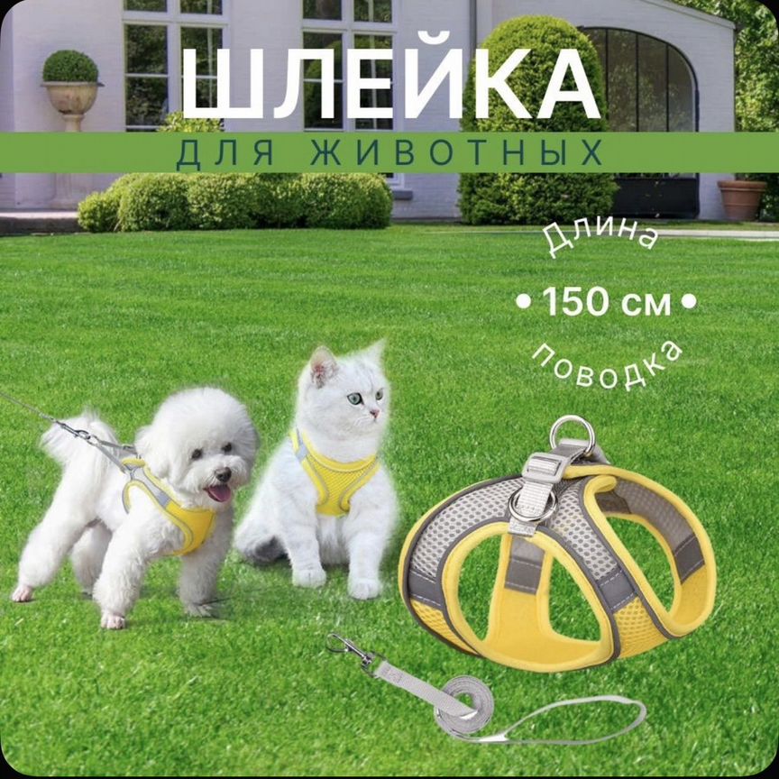 Шлейка для котенка или щенка