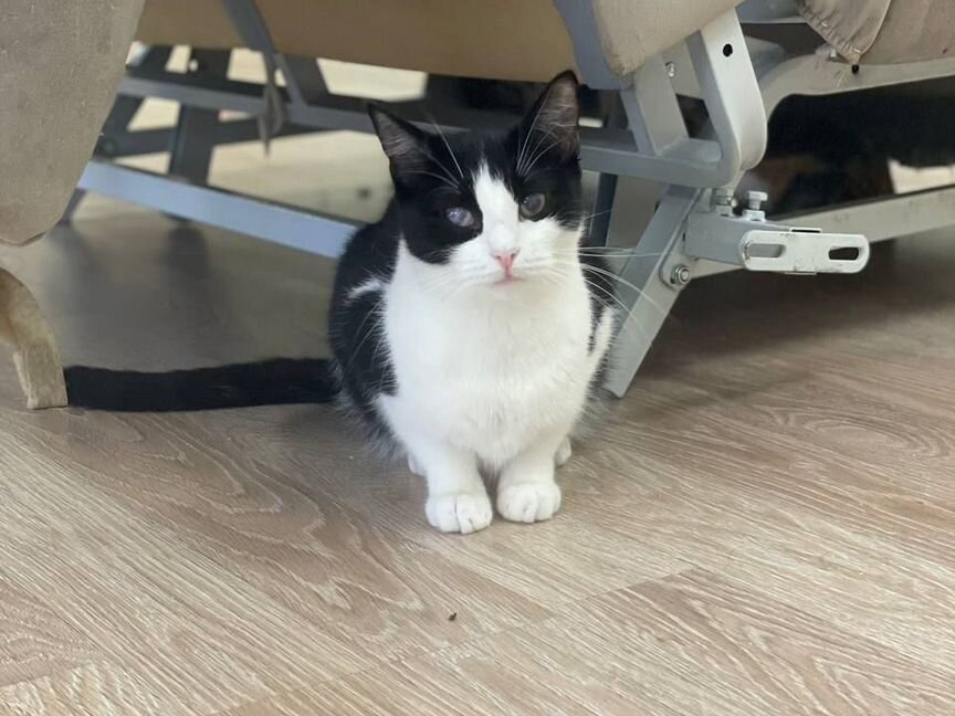 Никто не любит