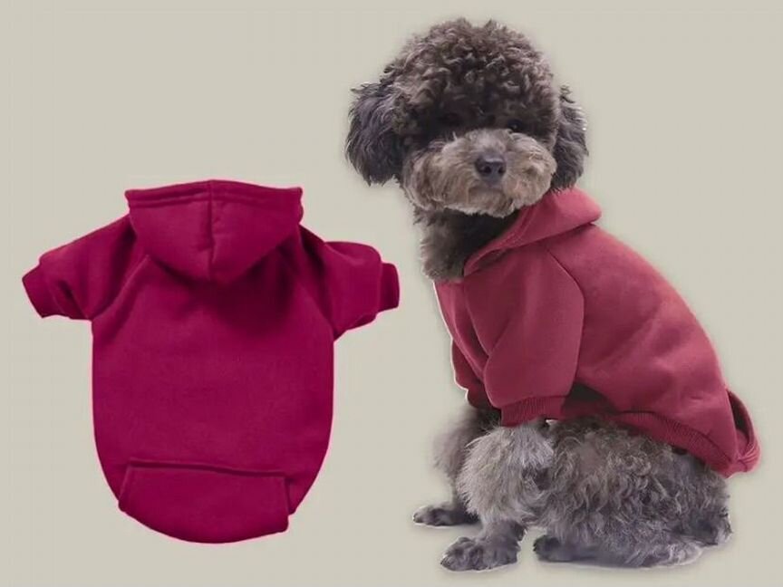 Одежда для маленьких собак xs