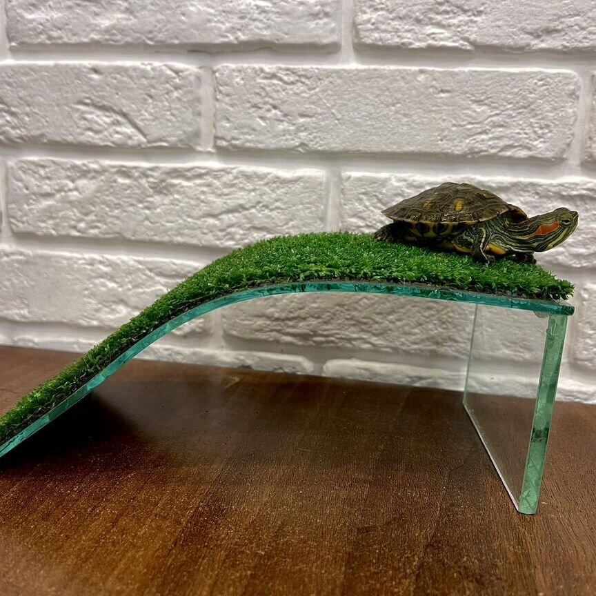 Мостик для черепахи