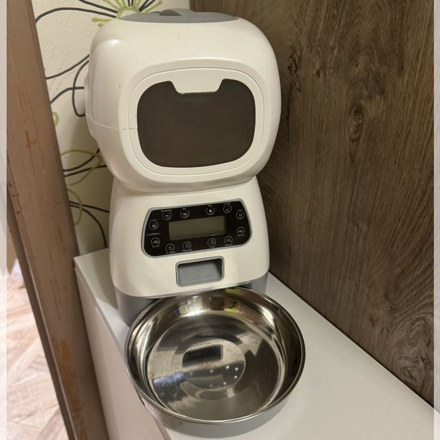 Автоматическая кормушка для кошек с таймером