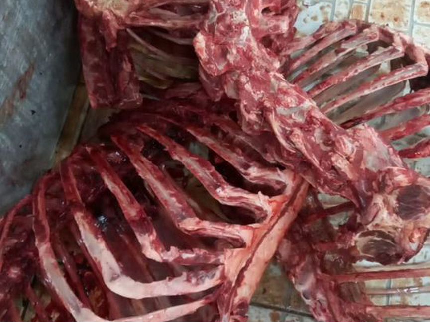 Кости для питания собак