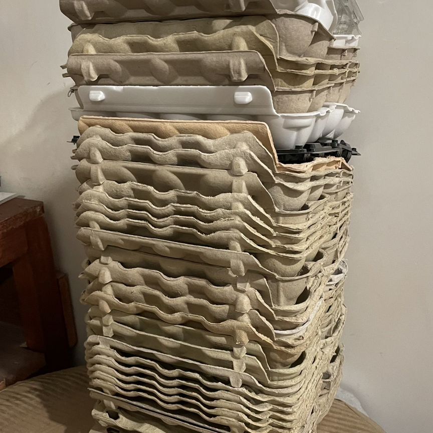 Бесплатно лотки для яиц