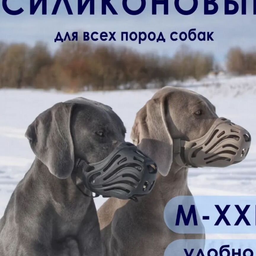Намордник   ошейник для собаки