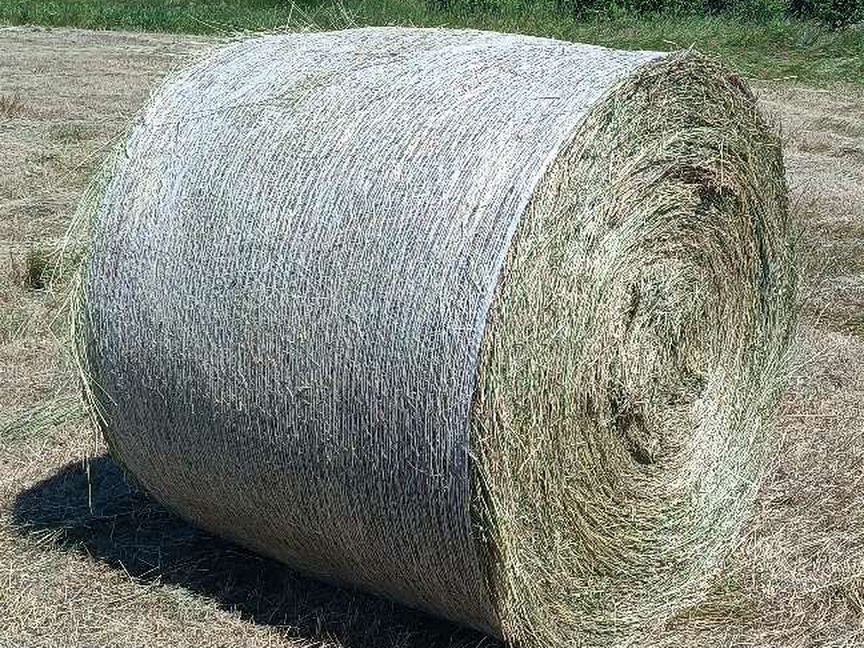 Новый урожай сена 2023