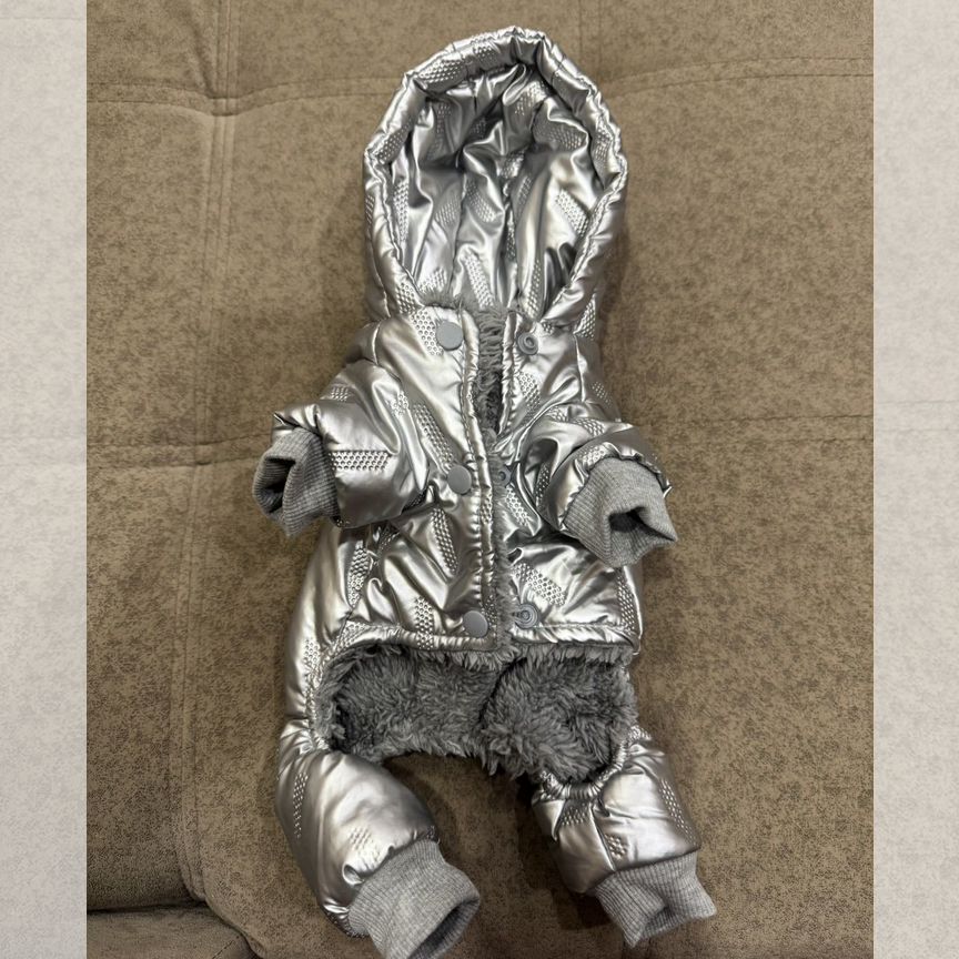 Одежда для маленьких собак xs