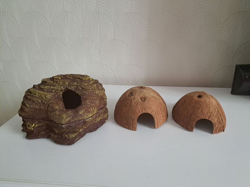 Укрытие для рептилий, кокос, влажная камера