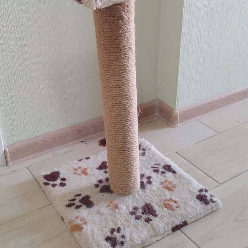 Когтеточка