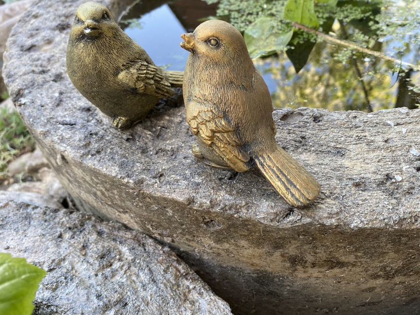 Птицы набор 5 шт