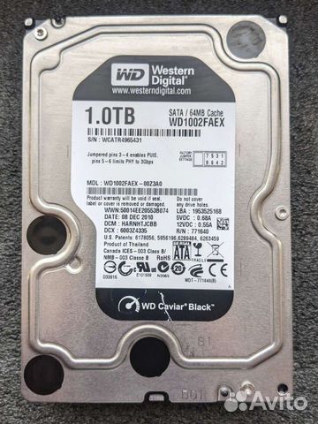 Жесткий диск Western Digital Caviar Black 1TB купить в Новороссийске ...