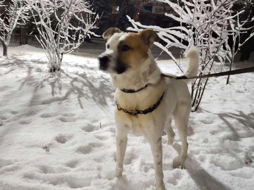 Красивый мальчик ищет девочку