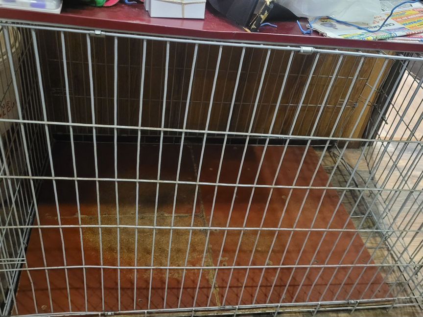 Клетка вольер для большой собаки бу