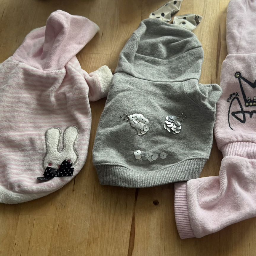 Puppy Angel, Louis Dog, Petmax, Puppia питомцам