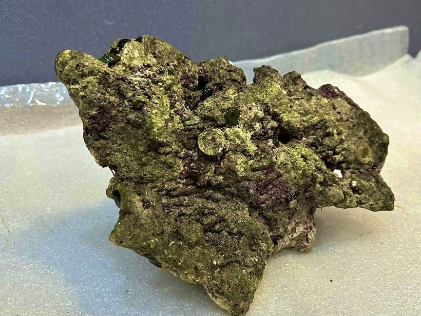 Живые камни из системы для аквариума