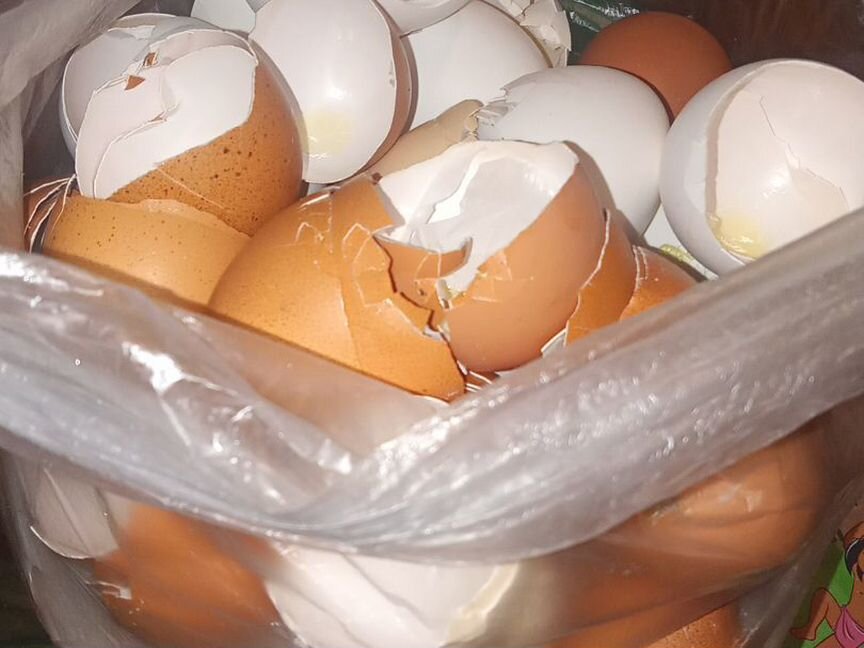 Яичные скорлупки
