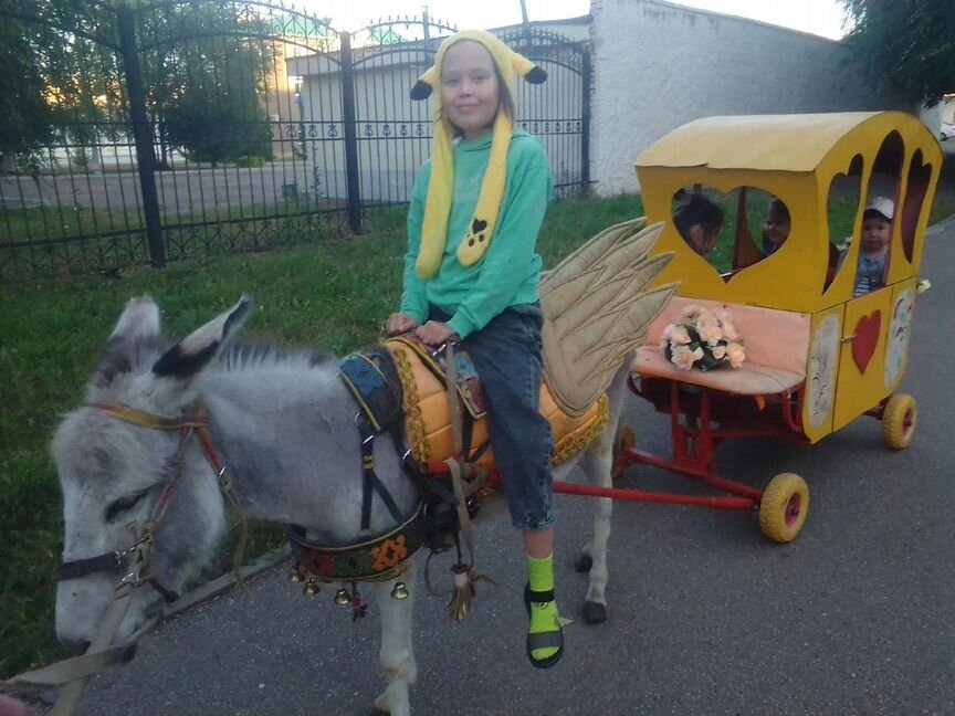 Тележка экипаж сани для пони двуколка