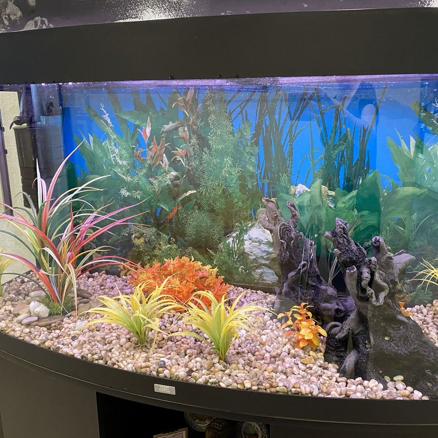 Аквариум с тумбой 260 литров