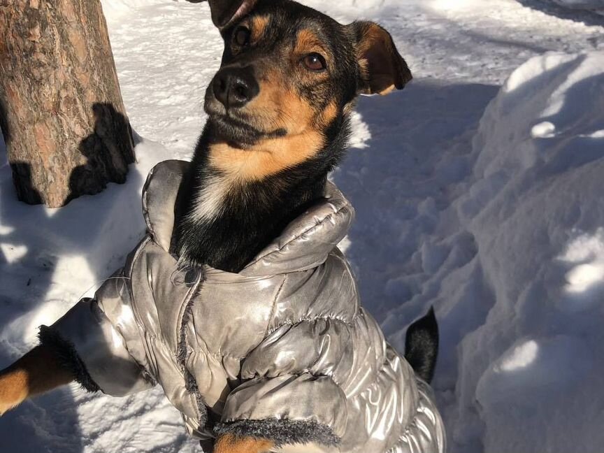 Вязка