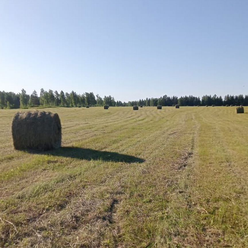 Сено в рулонах