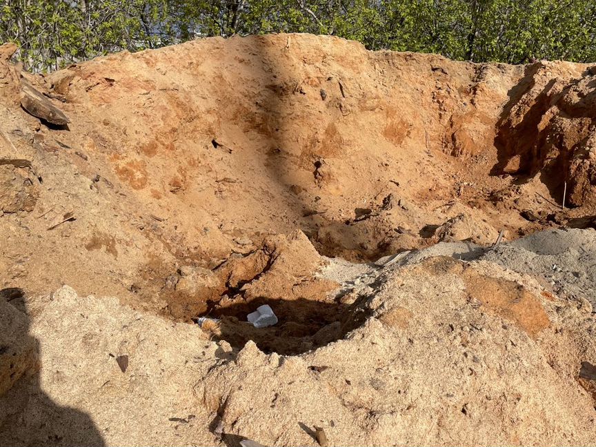 Опилки стружка бесплатно