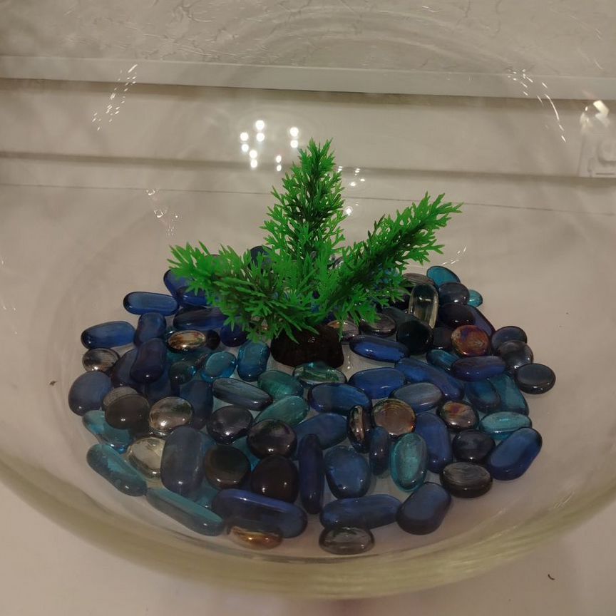 Аквариум круглый 5 литров