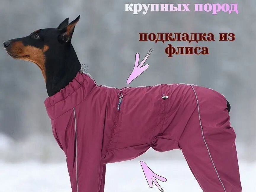 Комбинезон для средней породы собаки