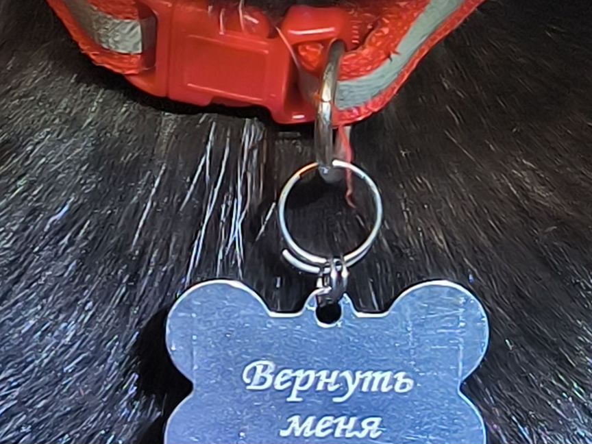 Адресник для животных, кошек, собак